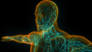 Mailloux Method Lymph Drainage | ANGION