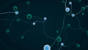 Mailloux Method Lymph Drainage | ANGION