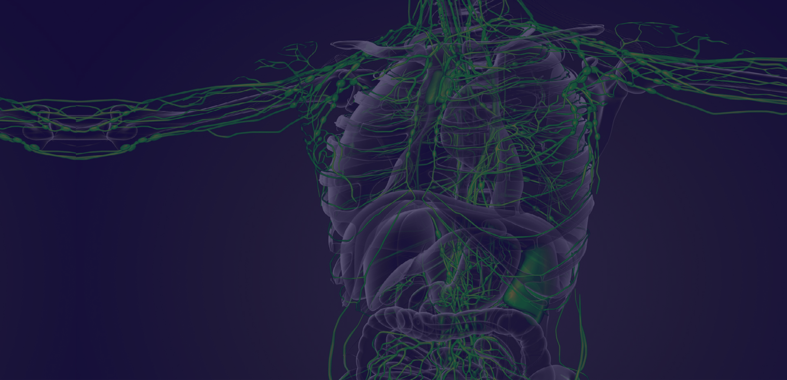 Mailloux Method Lymph Drainage | ANGION